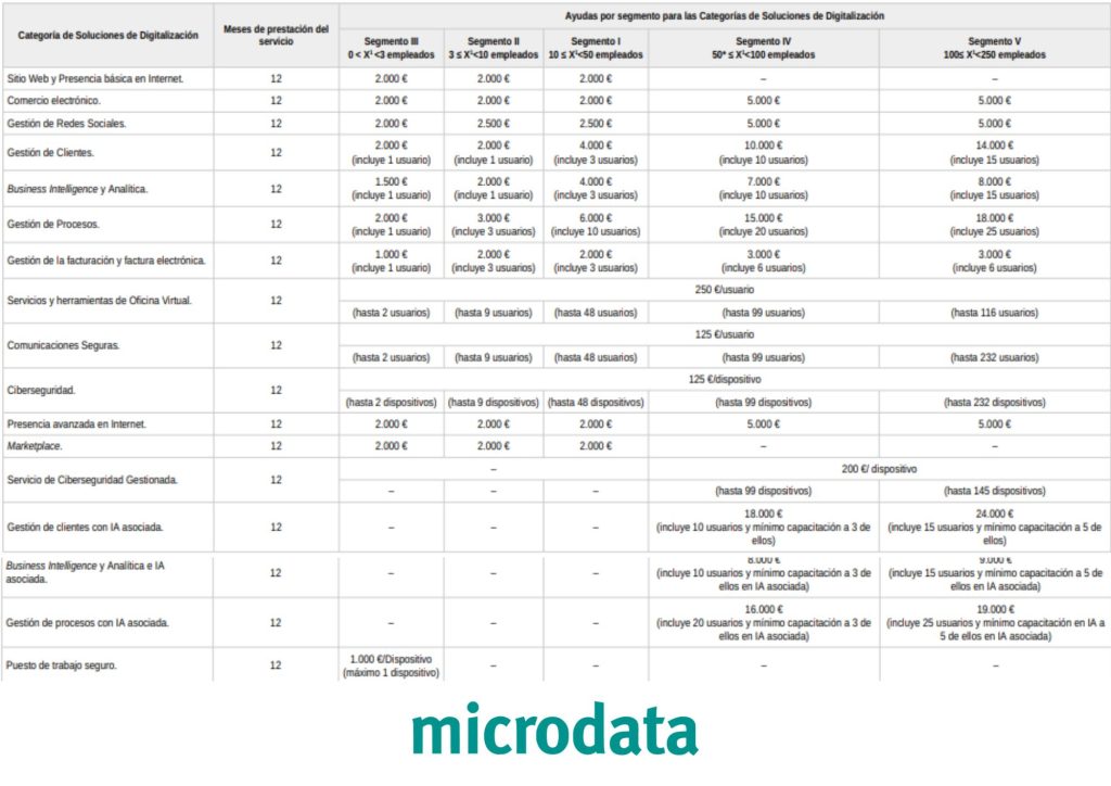 Nuevos Segmentos del Kit Digital - Cegid Microdata